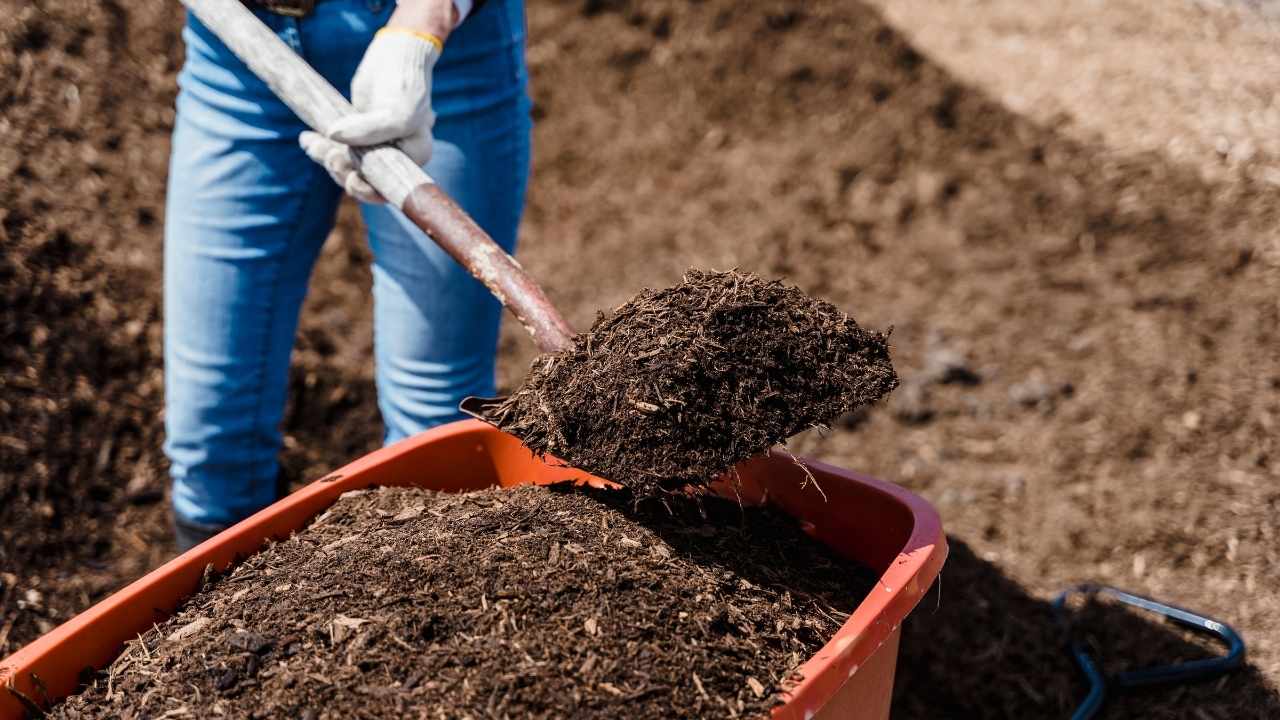 Types Of Soil In Georgia And Their Impact On Foundations