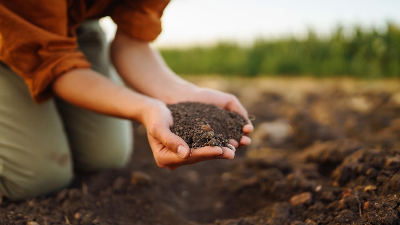 Types Of Soil In Georgia And Their Impact On Foundations